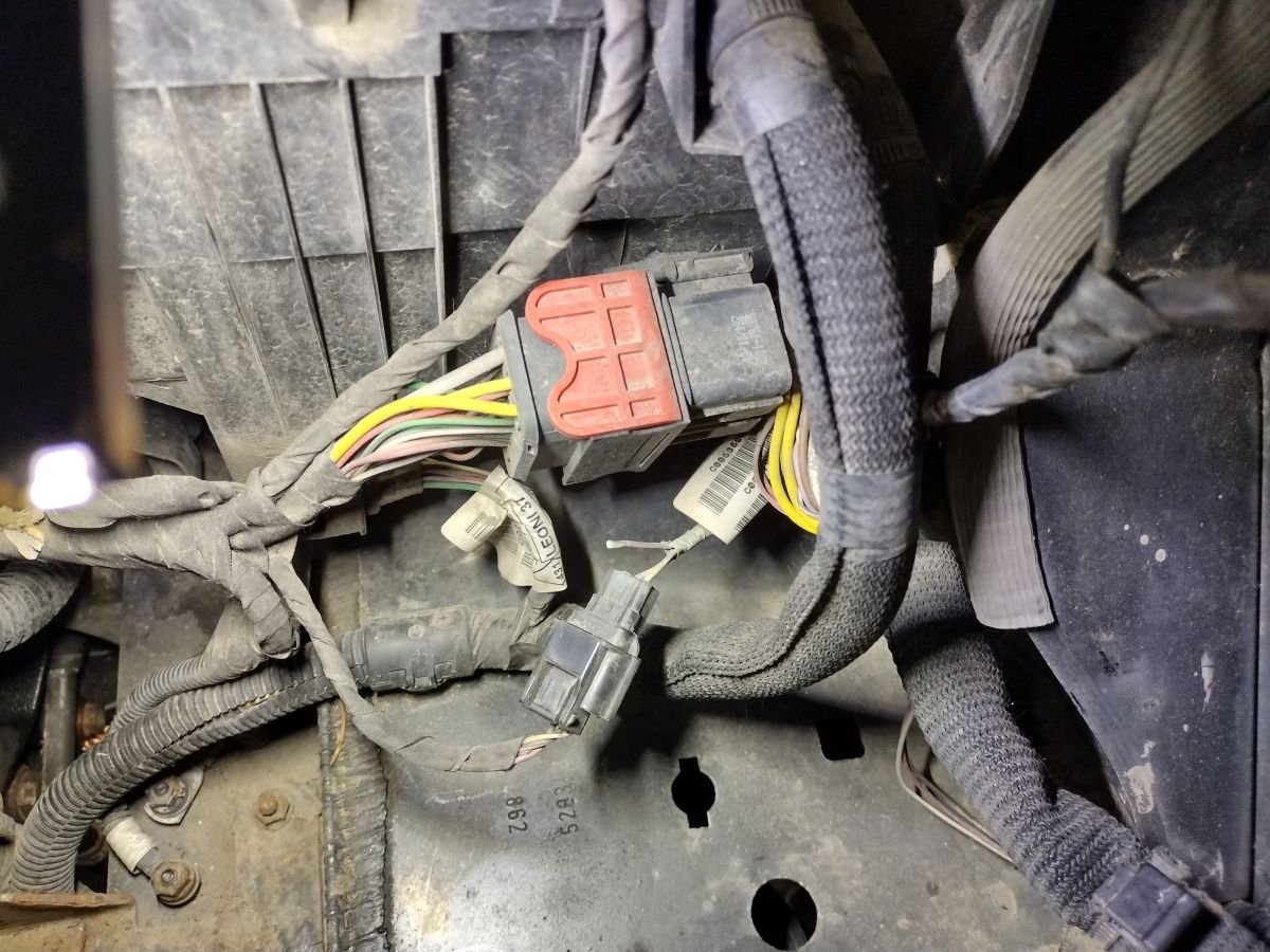 Renault Vivaro - Błędy p1641, p1643, urwany kabel w kostce 3 pinowej