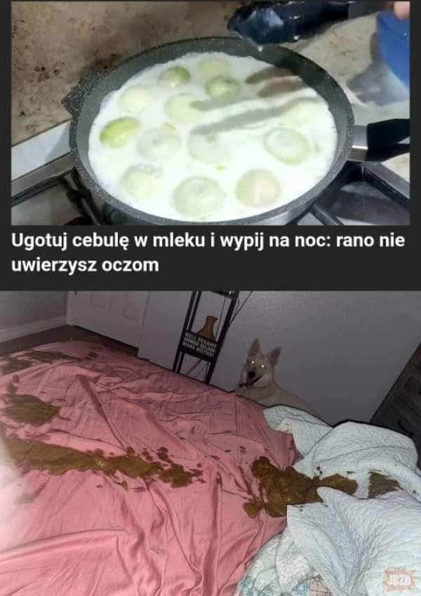 Tylko Śmieszne obrazki - kontynuacja 2 cdn... - 133