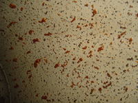 [Rozwiązano] Bojler Atlantic - stan do reanimacji, czy zezłomowania?