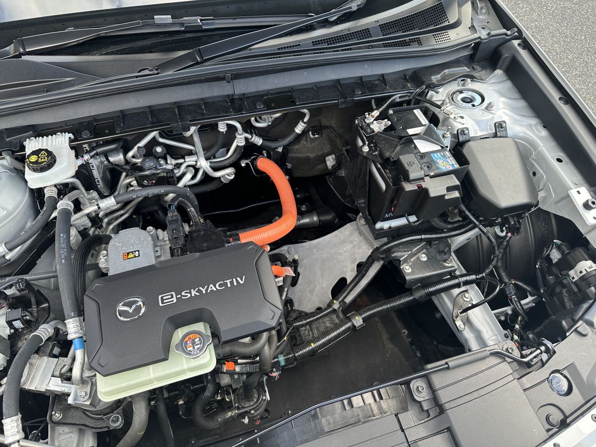 Test elektrycznego samochodu Nissan Leaf oraz Mazda MX-30 - 6