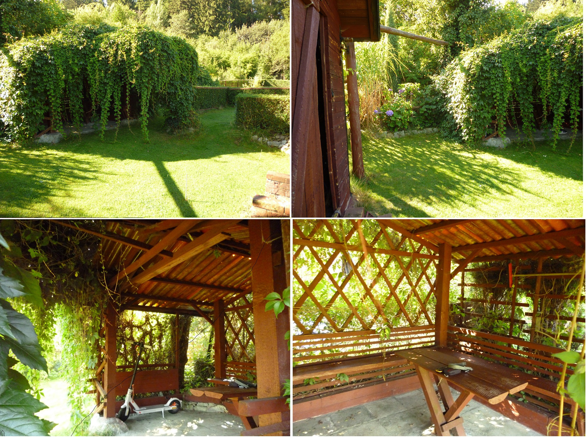 Prąd ze spalania drewna. Jaka alternatywa dla maszyny parowej?