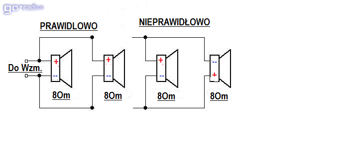 [Rozwiązano] Podłączenie 2 głośników 8 Ohm do wzmacniacza TDA1013B