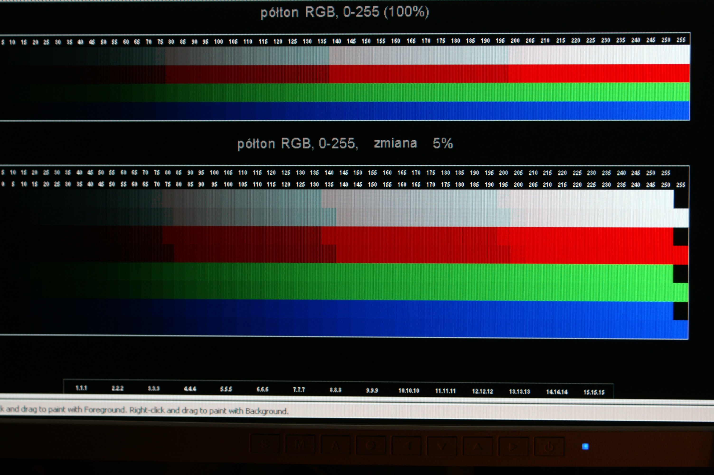 EIZO L768 i matryca LTM190E4-L02 szumy i artefakty.