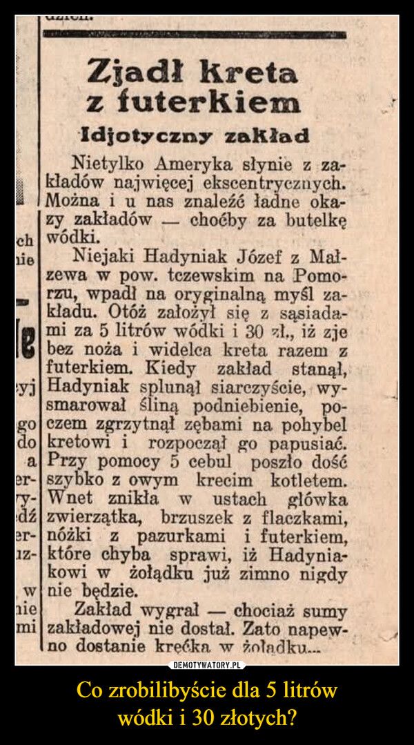 Śmieszne filmiki, obrazki, teksty, audio... - 25 - elektroda.pl