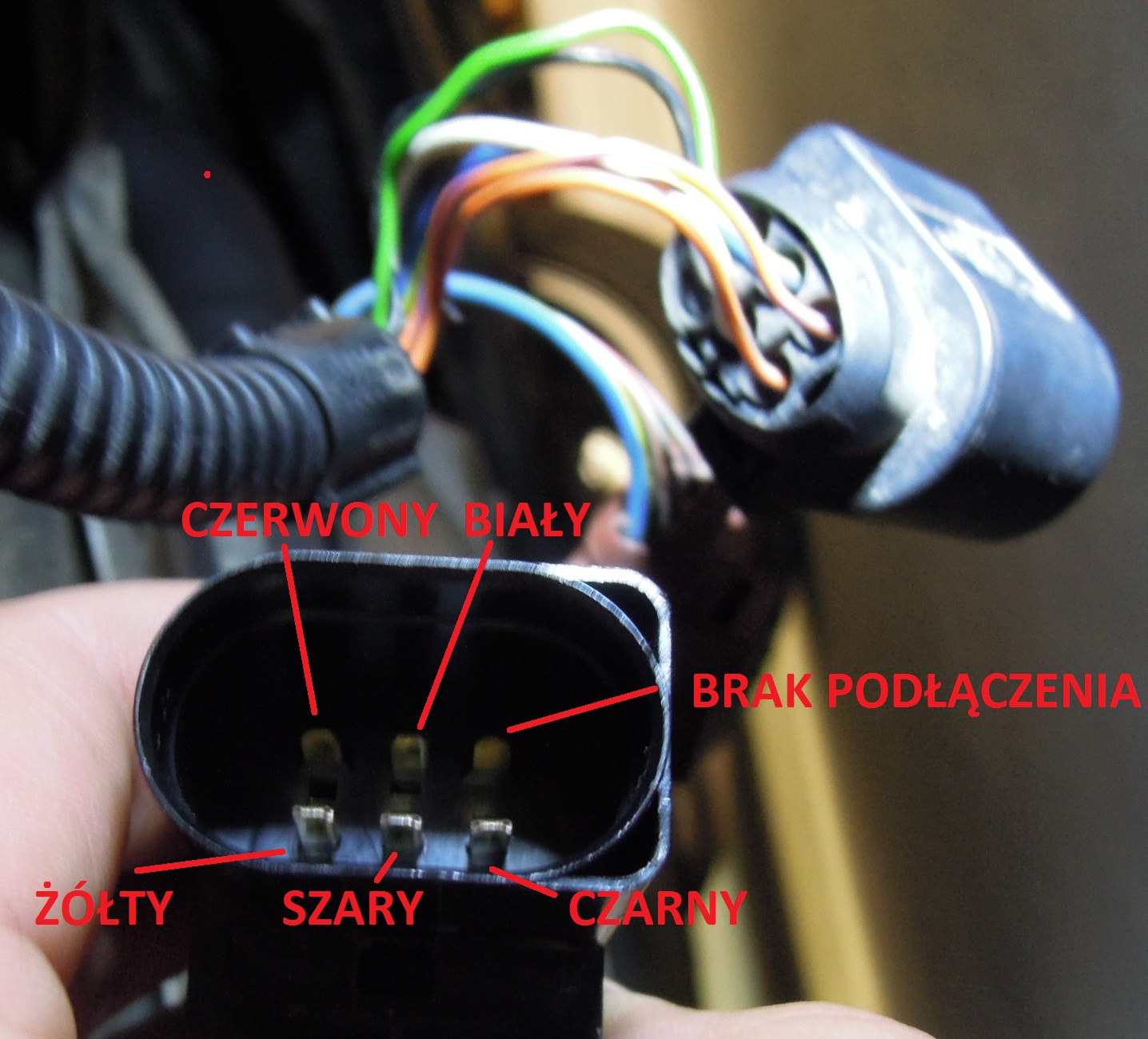  Solved Seat Leon 1 8 20V Lambda Probe Fault Replaced Sensor Error