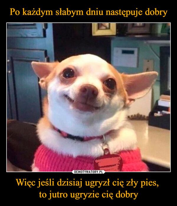 Tylko Śmieszne obrazki - kontynuacja 2 cdn... - 147