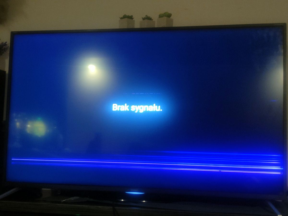 Paski na ekranie Sharp Aquos 50BL2EA - uszkodzona matryca czy t-con?