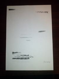 Lexmark S300-S400 - Drukarka nie drukuje po transporcie w pozycji pionowej