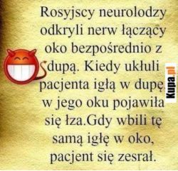 Śmieszne filmiki, obrazki, teksty, audio... - 7 - elektroda.pl