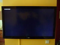 Telewizor LG 42LD550 - Pionowe przerywane linie na ciemnym tle, jak ...