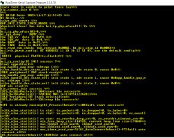 RTL8720DN, RTL8710B, RTL8710BX Compatibility with OpenBeken? - 10