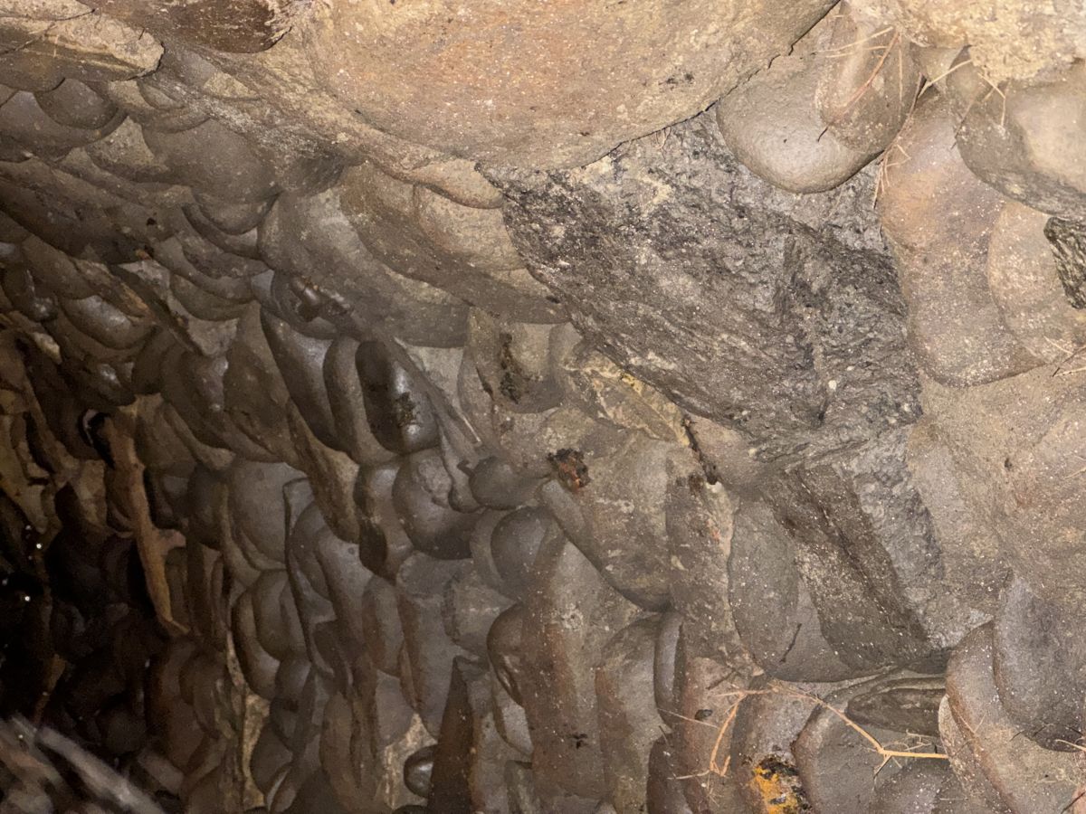 Stara studnia z otoczaków rzecznych na działce – jak ustalić jej wiek i ...