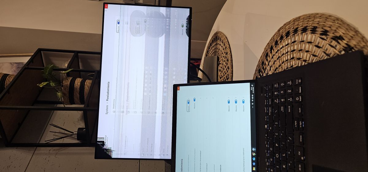 Czy warto naprawiać monitor Dell U2422HE z widoczną usterką?