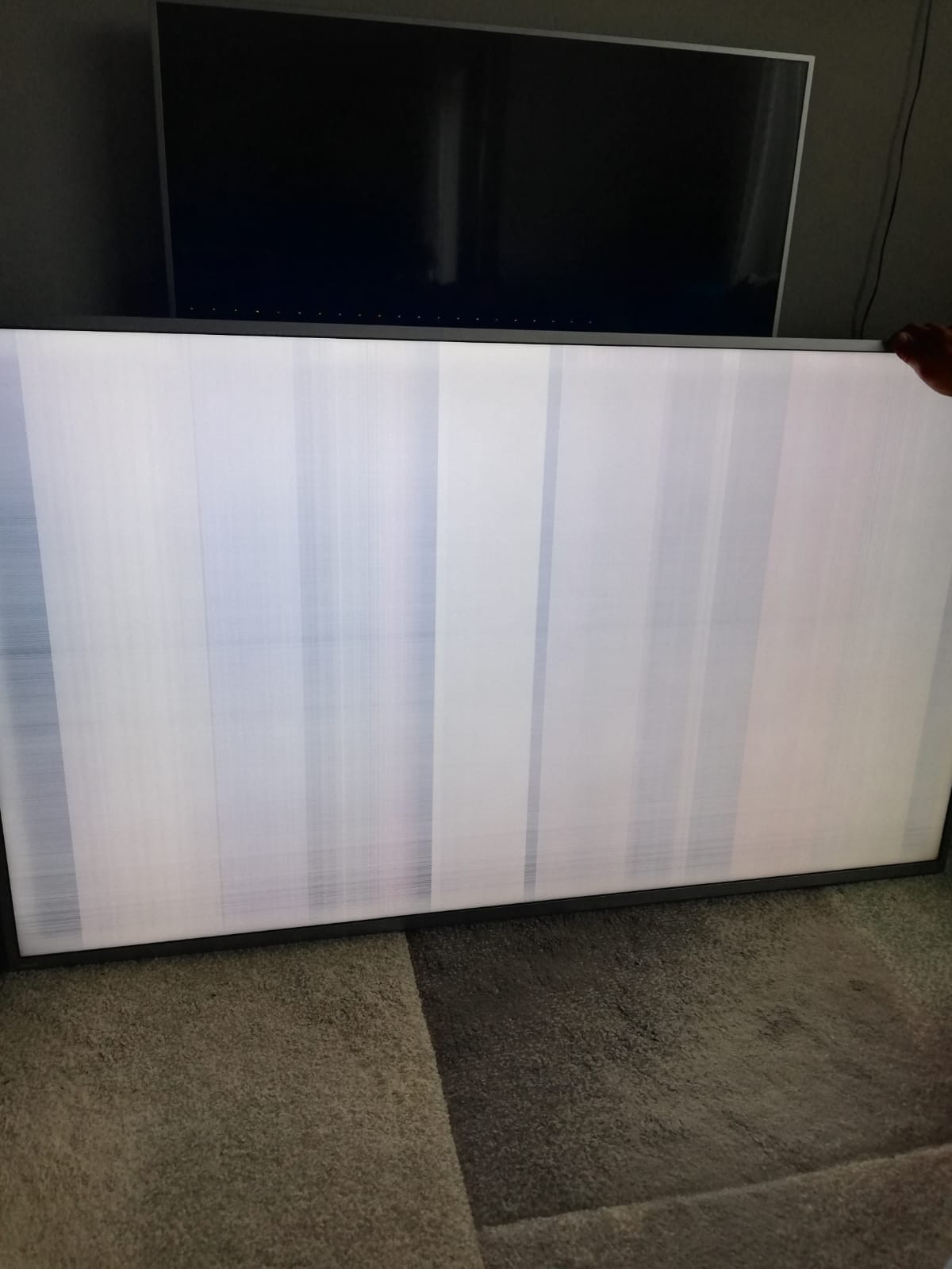 Zakłócenia obrazu w telewizorze Philips 58PUS8545/12 - matryca sprawna