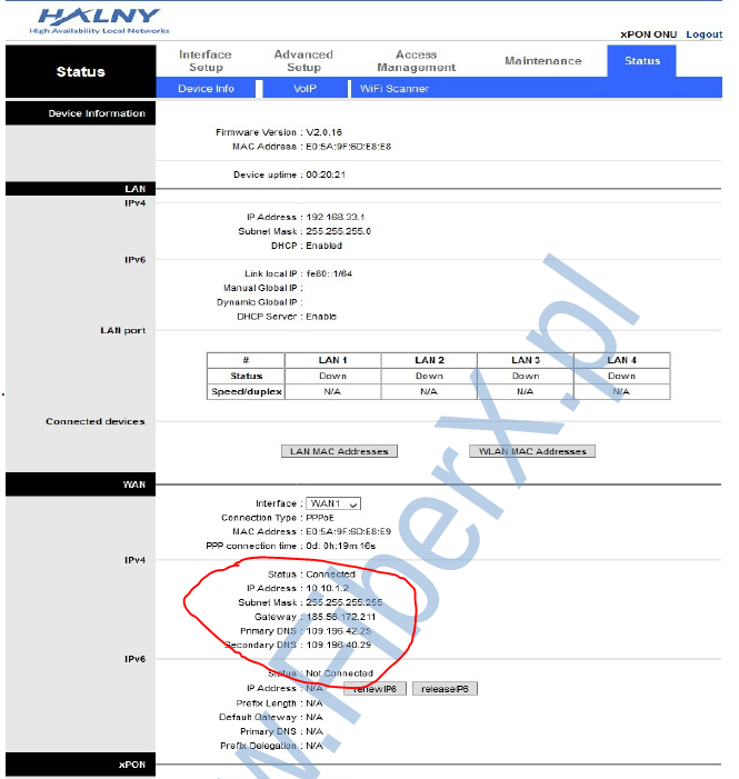 Router Halny HL-4GXV-F - Jak sprawdzić publiczny adres IP i NAT?