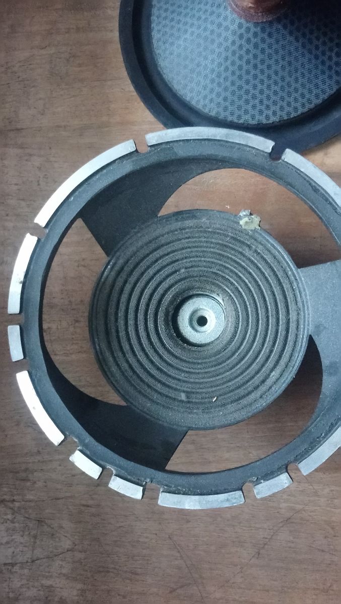 Phase 165.25- uszkodzone cewki, czy jest sens reanimacji głośników?