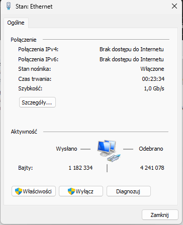 Synology brak internetu, jak udostępnić poprzez LAN?