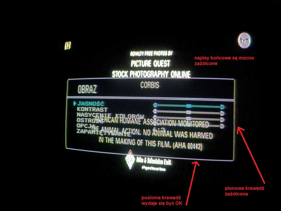 SEG Premium chassis 11AK36 - żółte kontury i zabarwienie obrazu