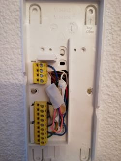 Czy domofon STR HT2003/2N jest cyfrowy czy analogowy? Wymiana na Siedle ...