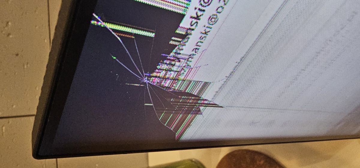 Czy warto naprawiać monitor Dell U2422HE z widoczną usterką?