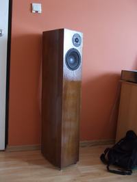 Kolumny "HI-END" Usher T9950 8945A - elektroda.pl