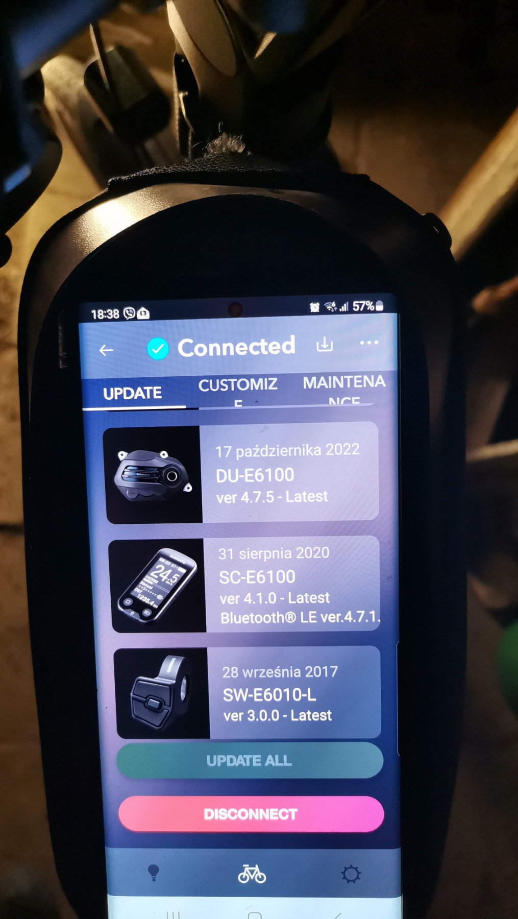 DU-6100 - Silnik serii Shimano DU-6100, błąd E010 po w013