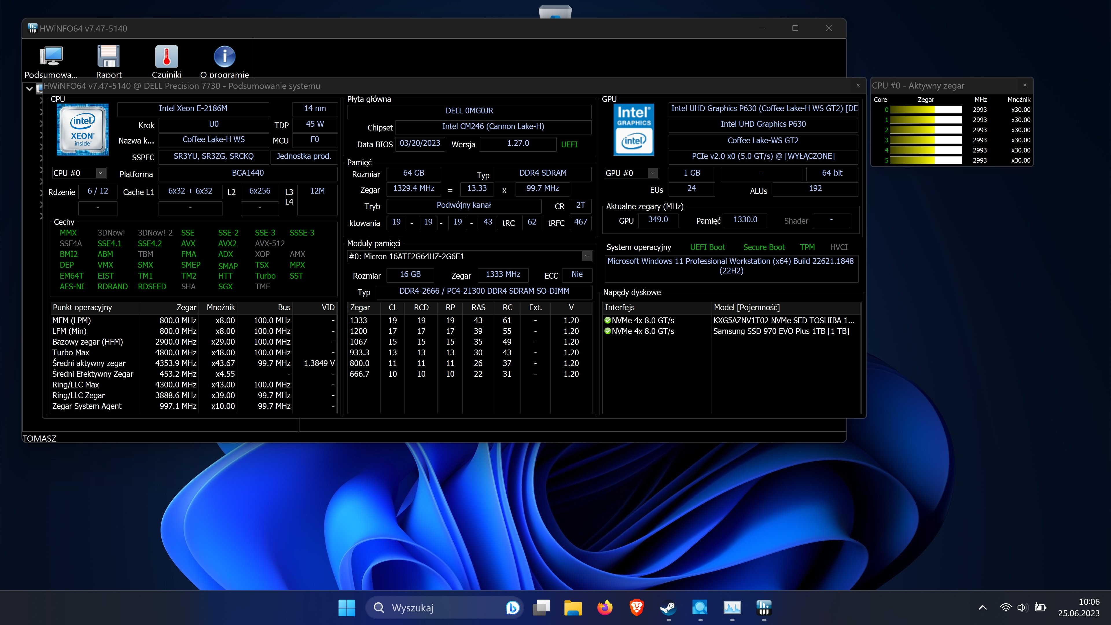 Komputer zacina się, obciążenie zintegrowanej karty graficznej 100% ...