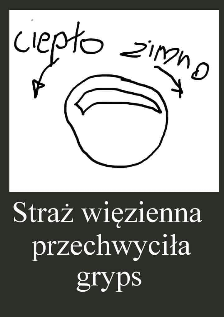Śmieszne filmiki, obrazki, teksty, audio... - 9 - elektroda.pl