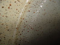 [Rozwiązano] Bojler Atlantic - stan do reanimacji, czy zezłomowania?