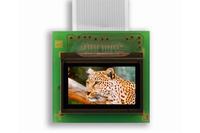 Microoled MDP01 - wyświetlacz OLED 0.38" o rozdzielczości 873 x 500