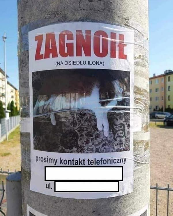 Śmieszne filmiki, obrazki, teksty, audio... - 24 - elektroda.pl