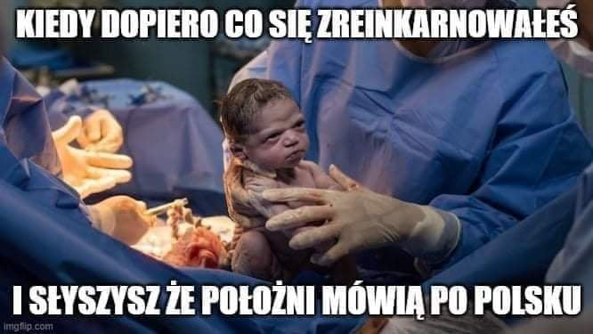 Śmieszne obrazki - kontynuacja - 27 - elektroda.pl