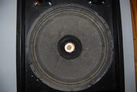 Ile warta jest kolumna SP-385G z 2 x GDWT Tonsil? - elektroda.pl