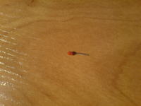 Teleton A380 - Jaki tranzystor i dioda Zenera do wzmacniacza?