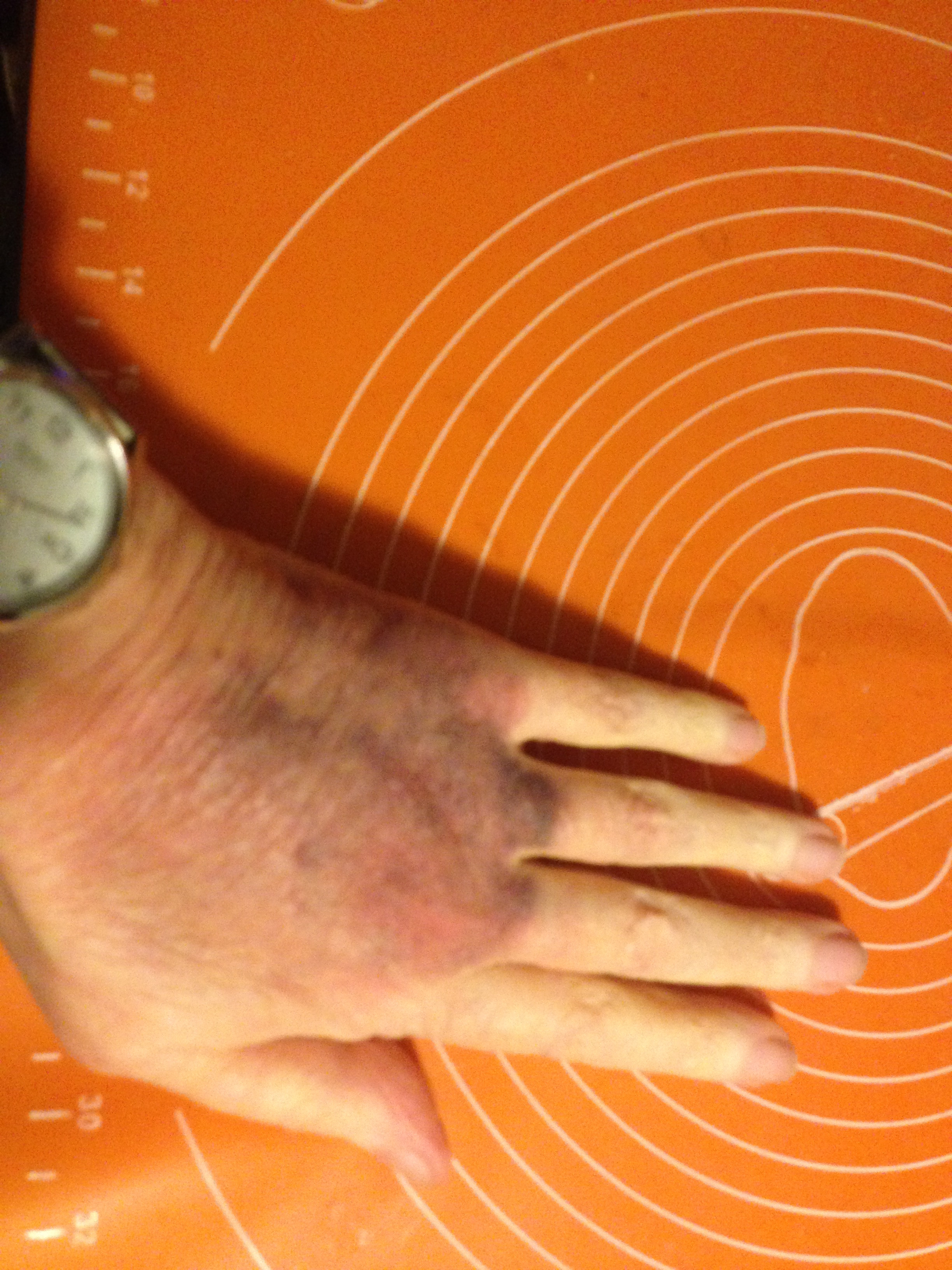 Pochwal się swoim zwierzakiem, kontynuacja - 49 - elektroda.pl