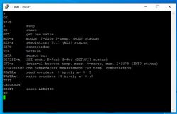 RS232 PuTTy - Połączenie przepływomierza RS232 z komputerem