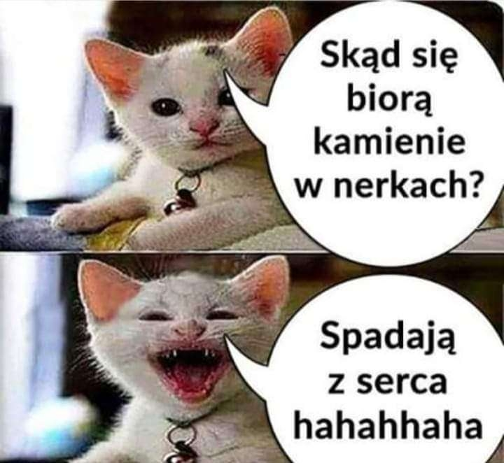 Tylko Śmieszne obrazki - kontynuacja 2 cdn... - 26